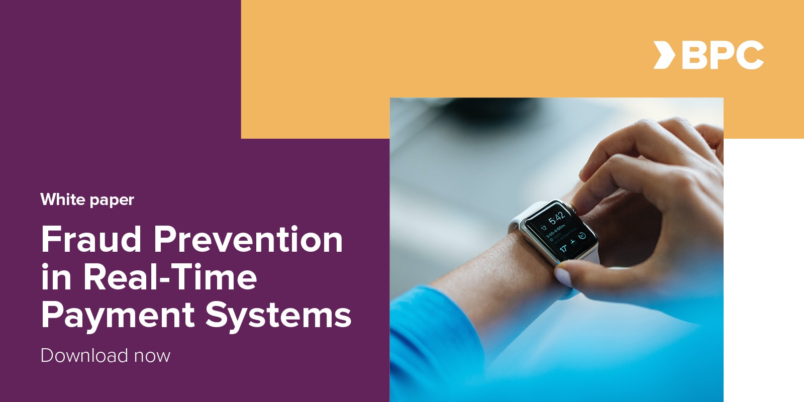 White Paper 'Fraud Prevention in Real-Time Payment Systems' | BPC